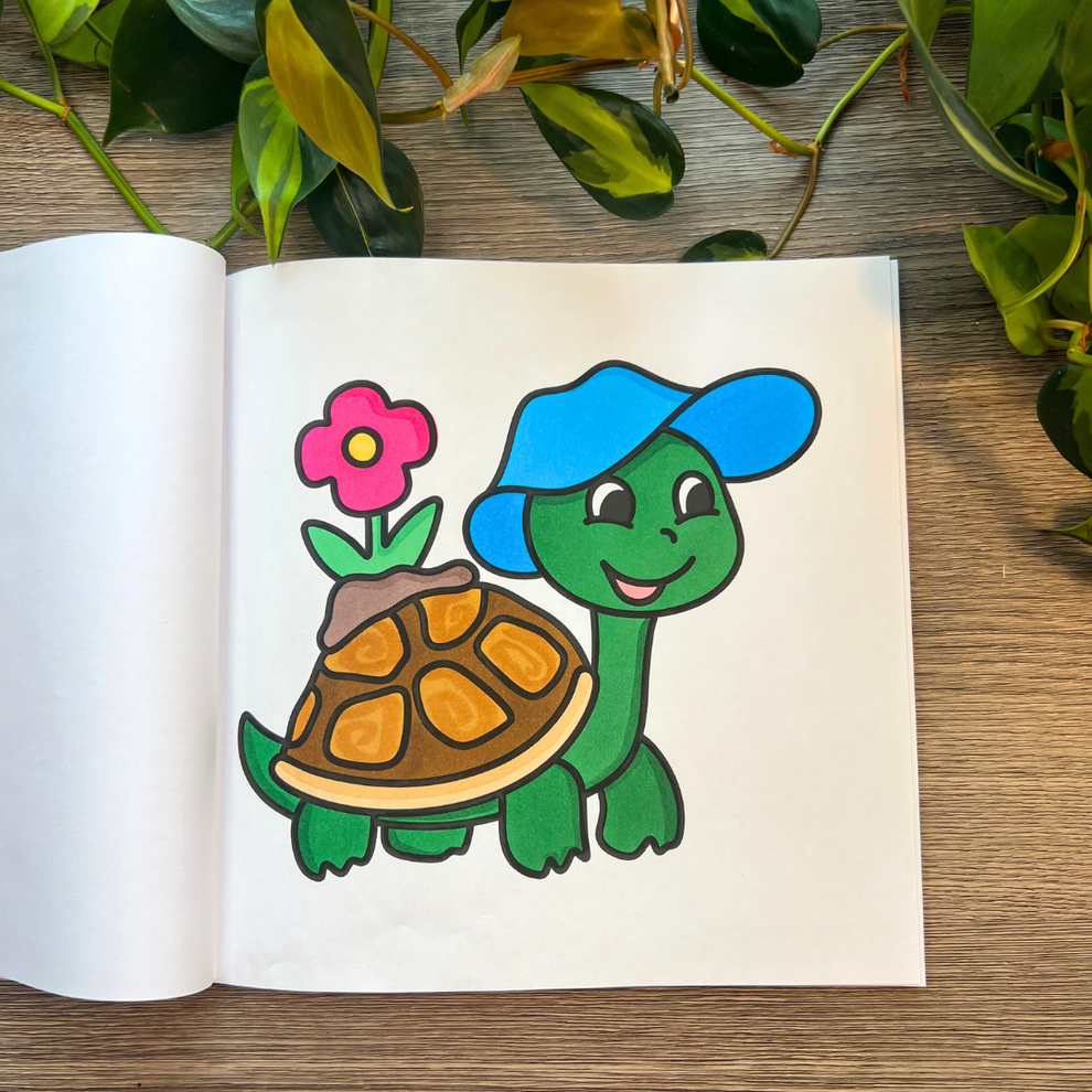 Coloring Mat & Book Bundle – The Complete Wook Books Coloring Experien